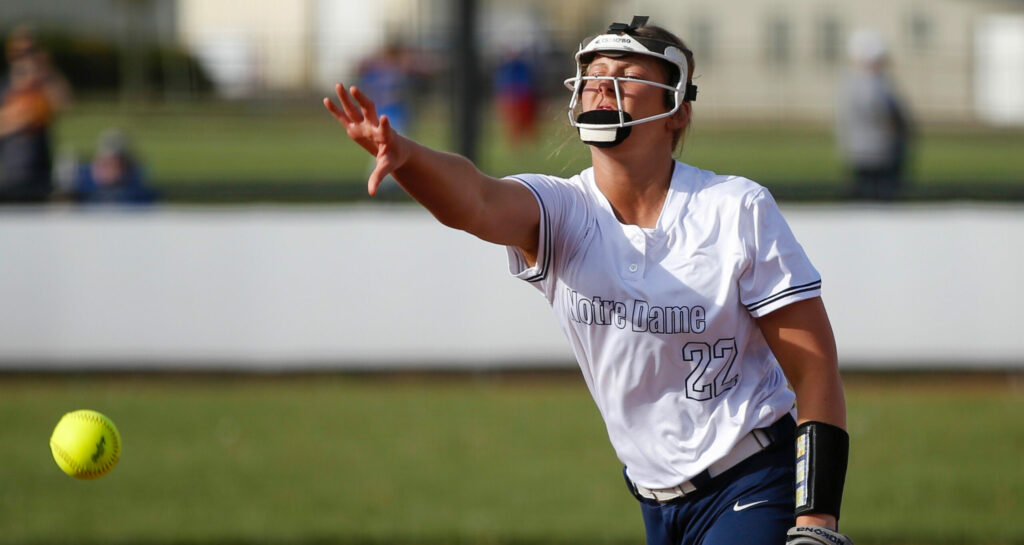 Take a look at the Southeast's All-District softball lists