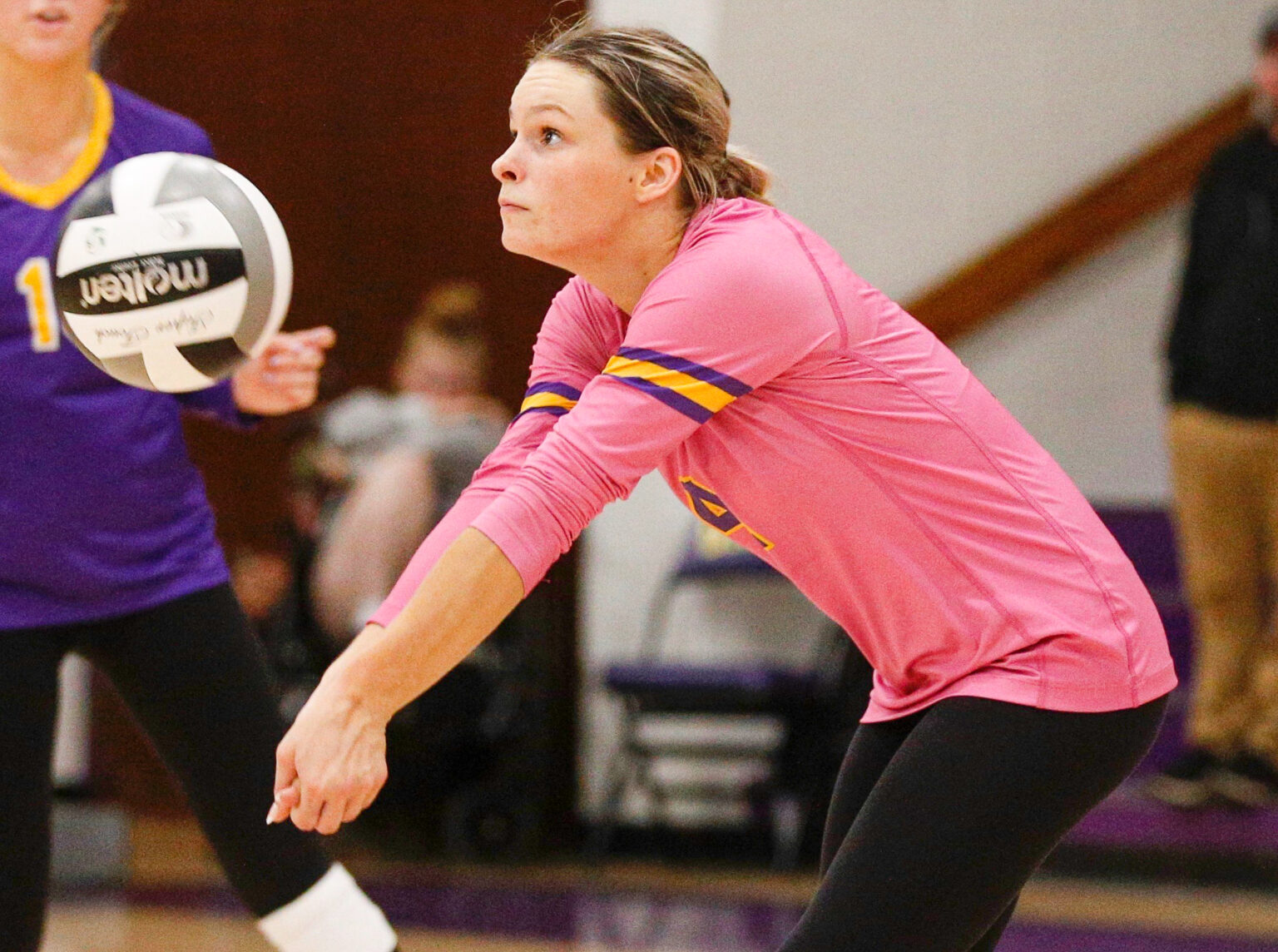 VOLLEYBALL: Take a look at SOSA's All-Area team