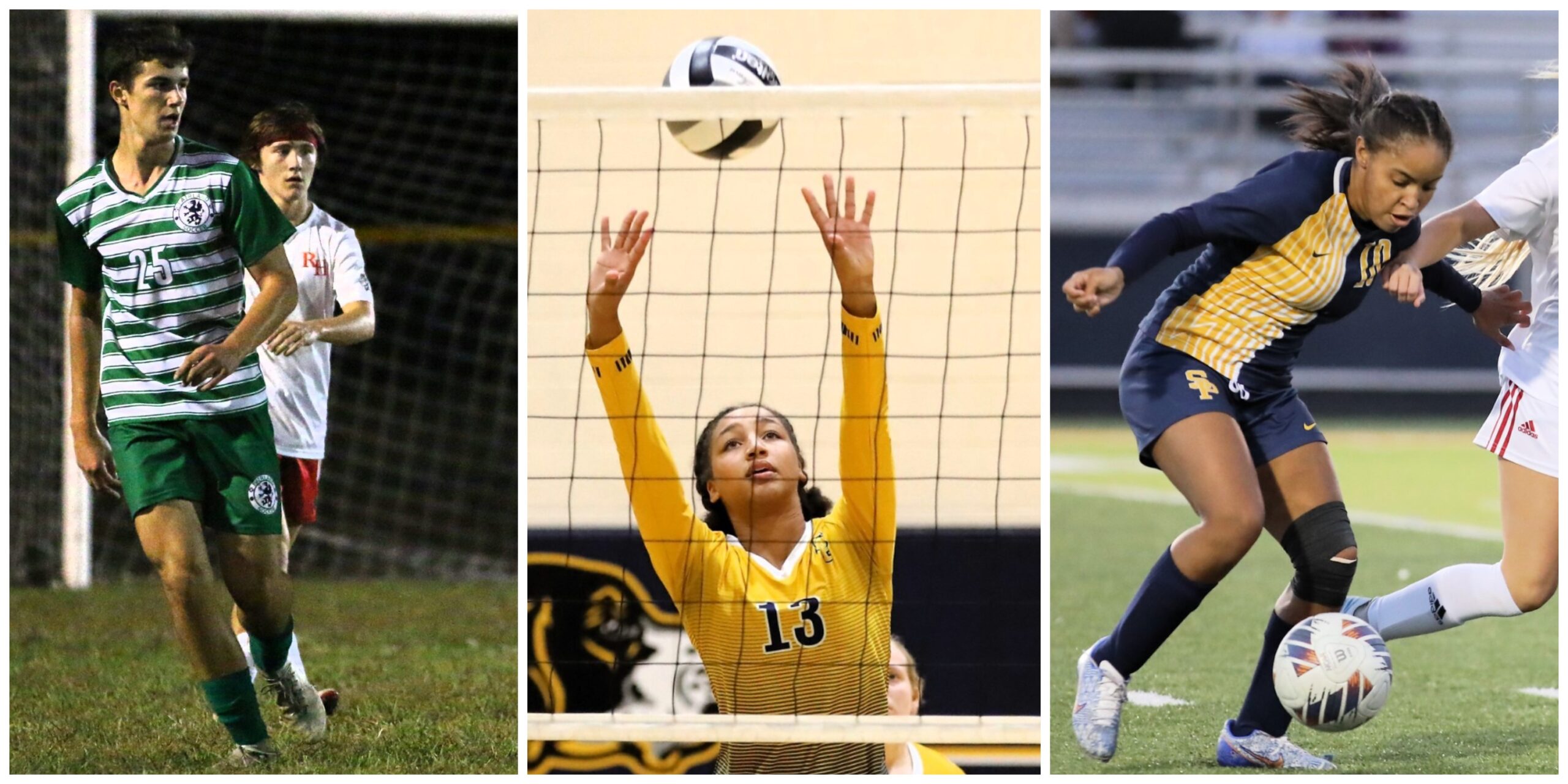 Take a look at the OVC's all-league soccer, volleyball teams