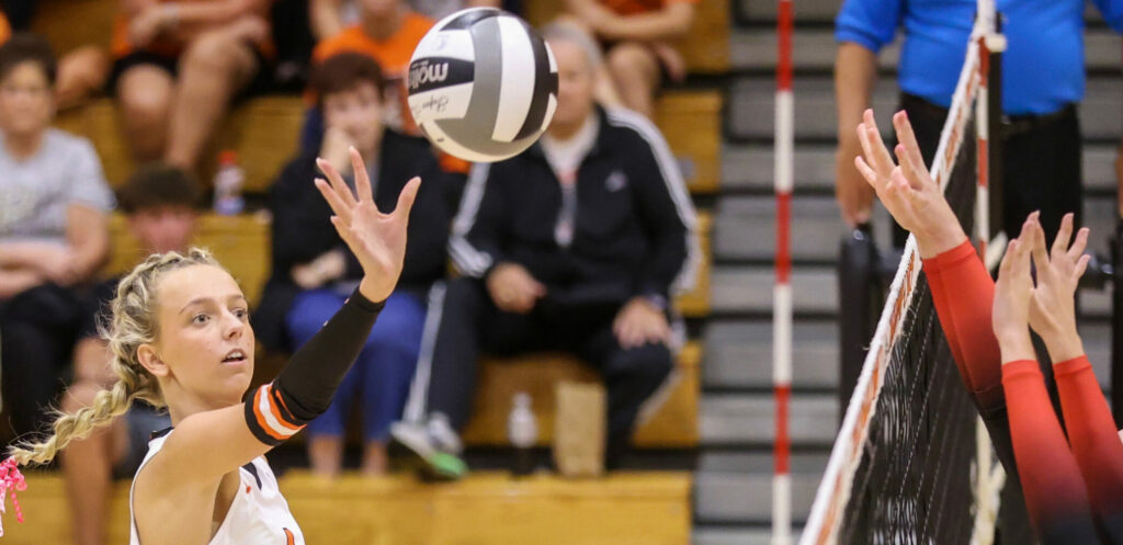 Here's a look at the area's All-Ohio volleyball selections