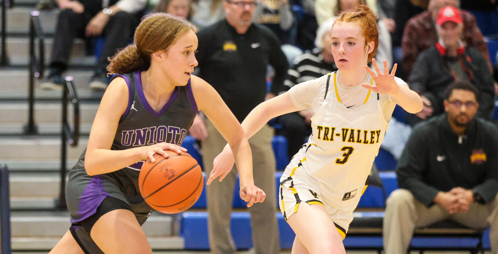 Smith's 33-point effort catapults Unioto over Tri-Valley, into Sweet 16