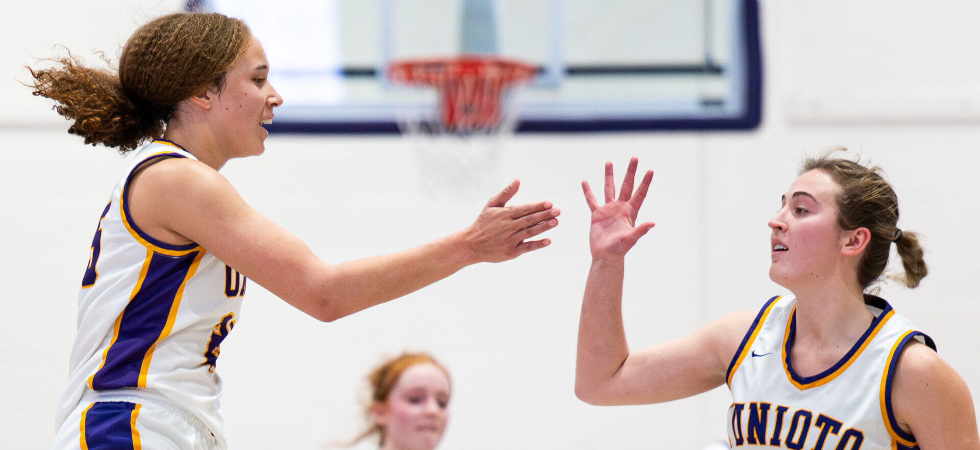 Unioto grinds out win over Sheridan, advances to third straight ...