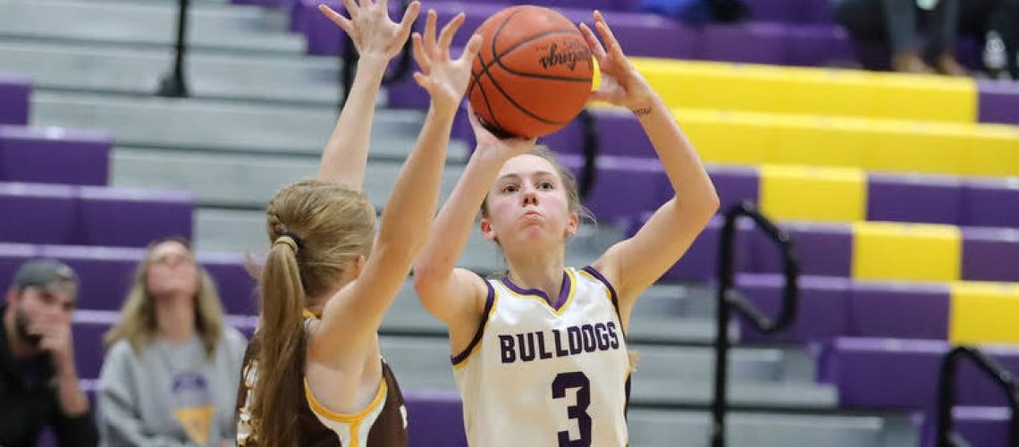 Bloom-Carroll's Emily Bratton named MSL-Buckeye POY, all-league teams ...